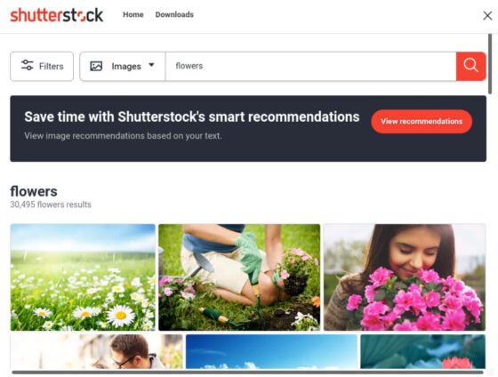 What is Shutterstock? Using the Shutterstock WordPress Plugin ...