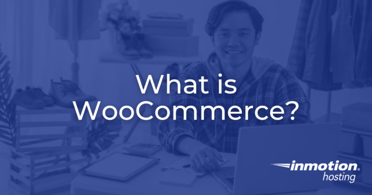 What is WooCommerce? eCommerce Plugin for WordPress
