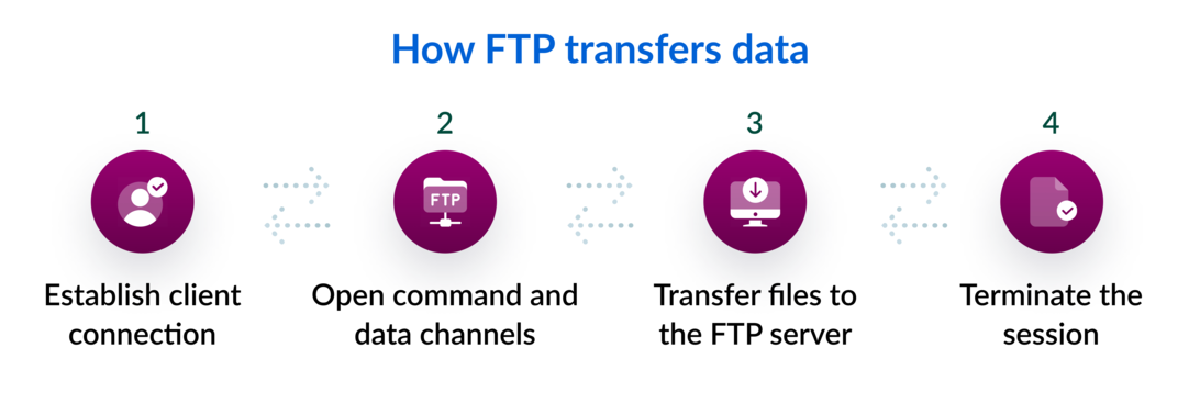 What is an FTP Server? Guide to FTP Types and Common Uses