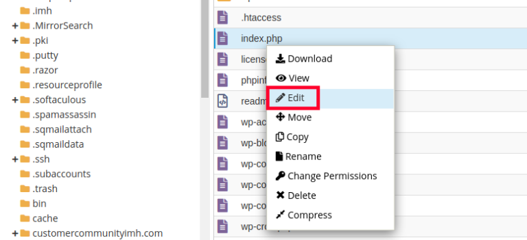 Website Character Encoding in cPanel Explained