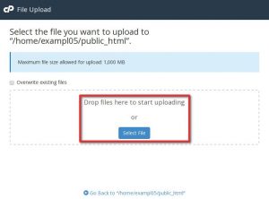 How to Upload a File in cPanel Explained