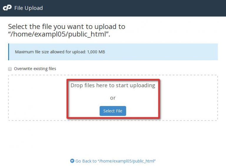 How to Upload a File in cPanel Explained
