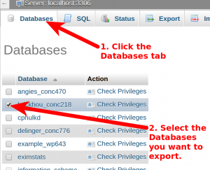 Exporting your Database for Transfer