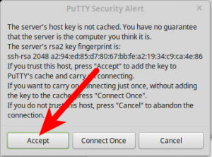 SSH Connection Guide: Server Management