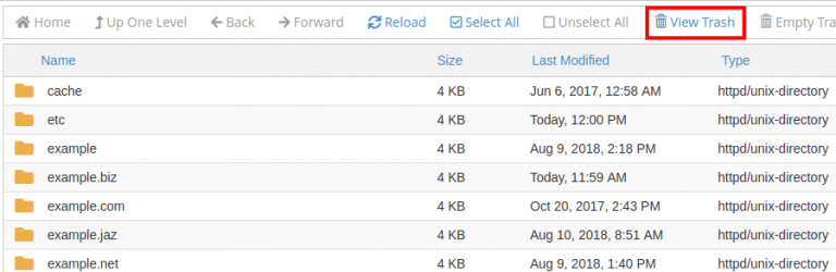 How to Permanently Delete Trash in File Manager | InMotion Hosting