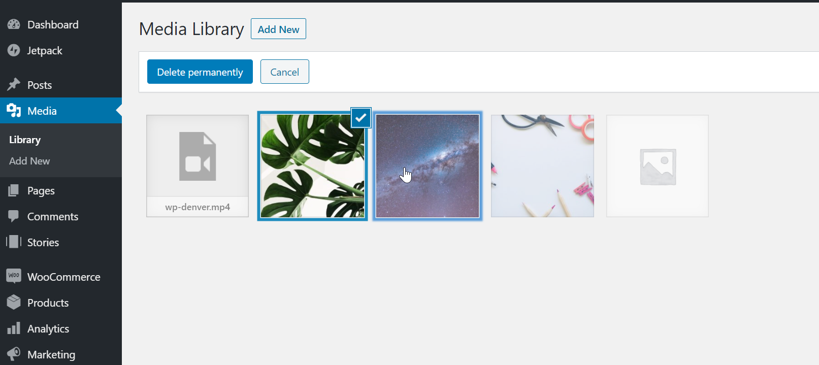 Beginners Guide to the WordPress Media Library