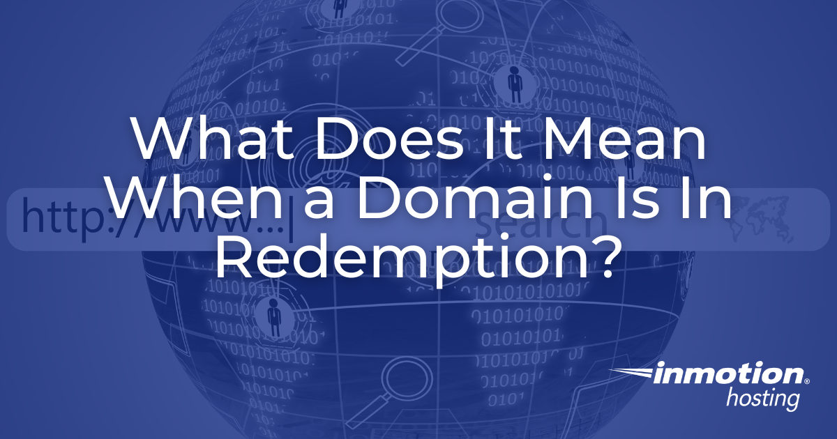 What Does It Mean When a Domain Is in Redemption?
