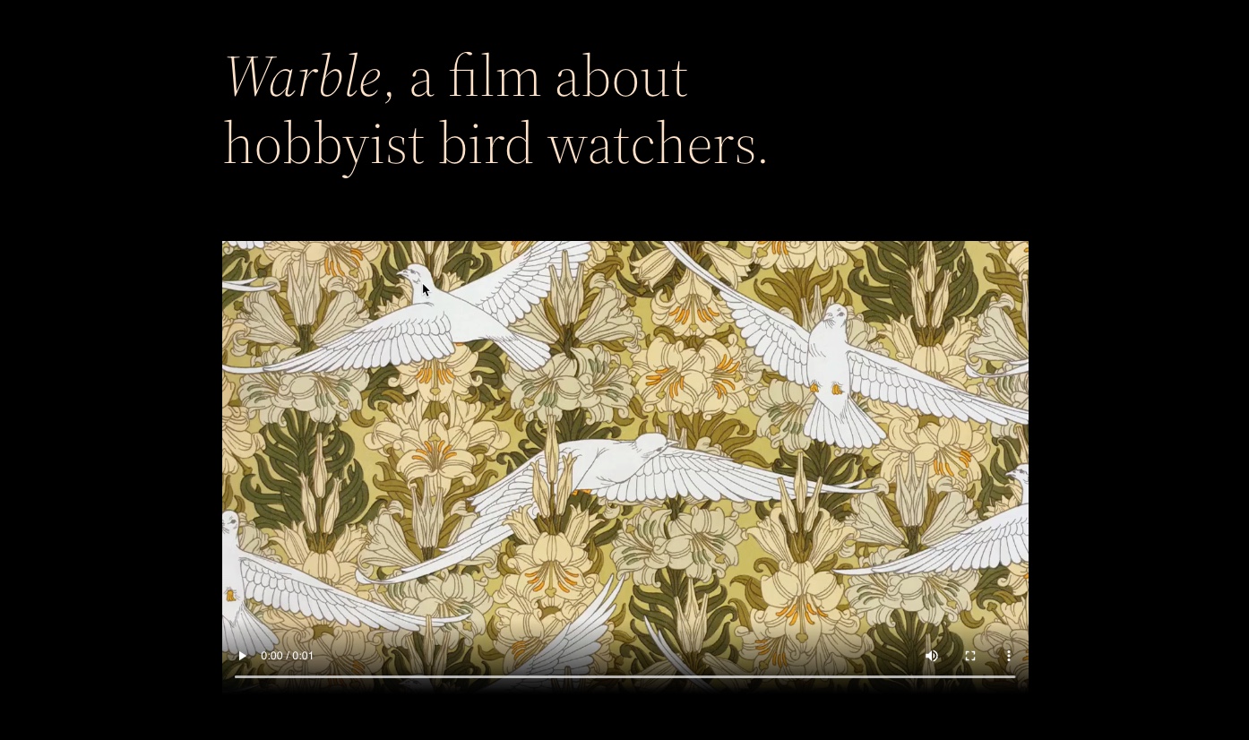 How to Add Video Using Blocks or Patterns with WordPress FSE | InMotion Hosting