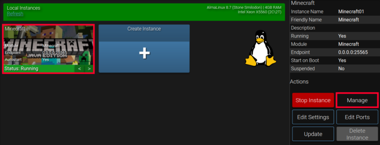 Minecraft Instance Configuration Options | InMotion Hosting