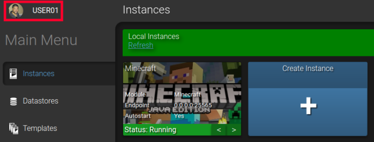 Minecraft User Profile Options - Minecraft Game Panel